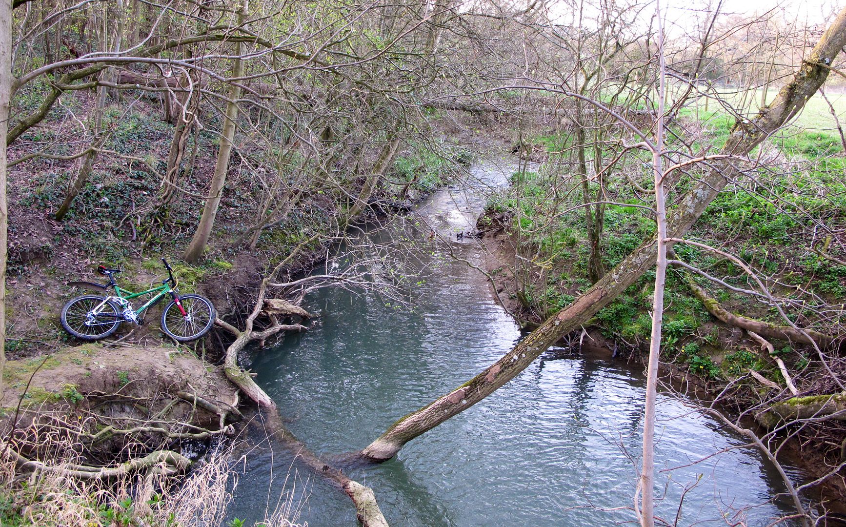 MFing resurrection shuffle ~ done! MY EYES! | Page 10 | Retrobike