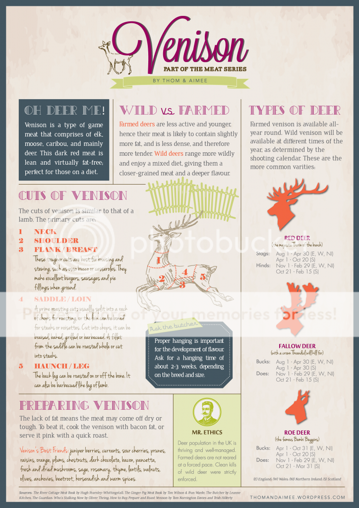 The Art of Venison | Thom & Aimee