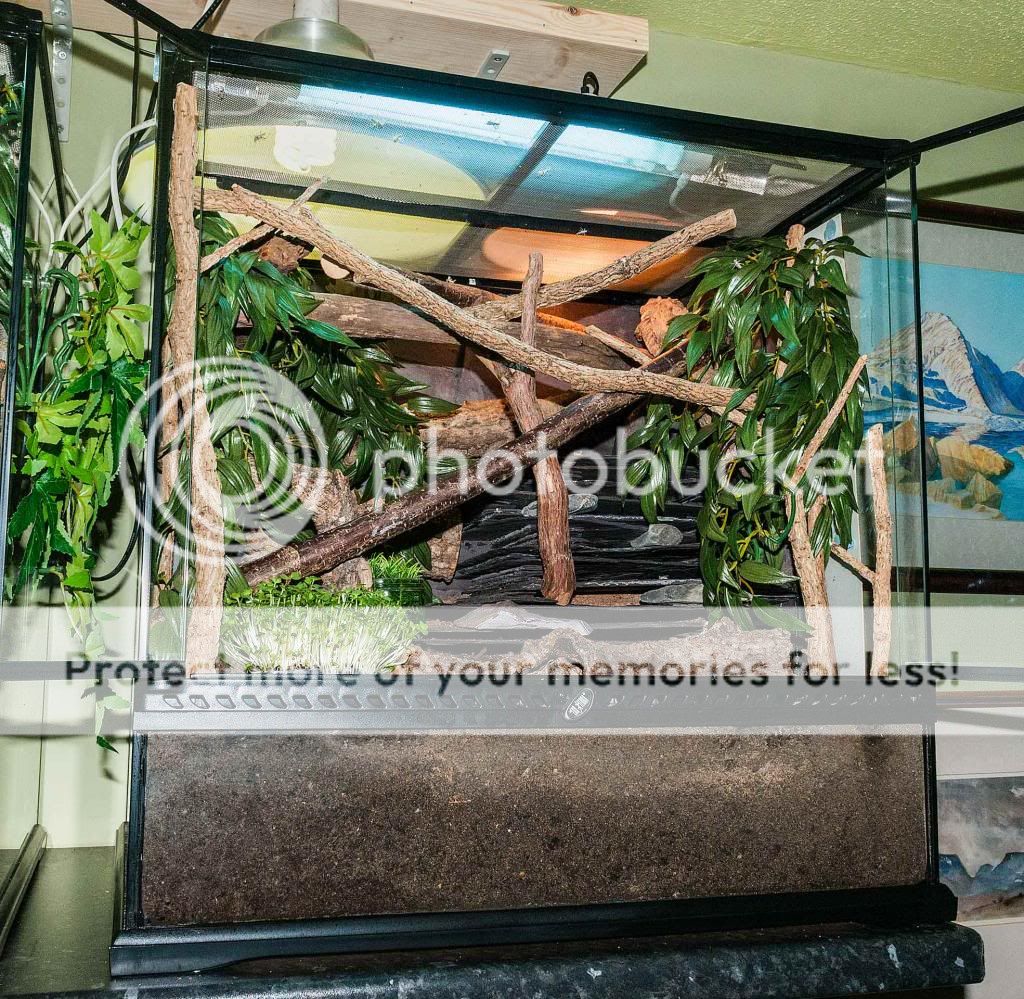 Constructing a Slate Rete | Reptile Forums