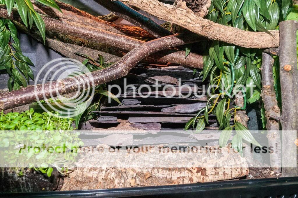 Constructing a Slate Rete | Reptile Forums